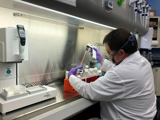 Flow Cytometry Sample Preparation Best Practices Kcas Bio