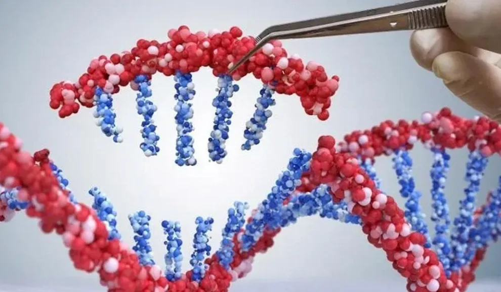 Is GLP Bioanalysis needed to support your Cell and Gene Therapy GLP Tox ...