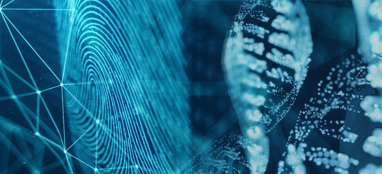 The Power of Immune Profiling: Understanding an individual’s unique ...