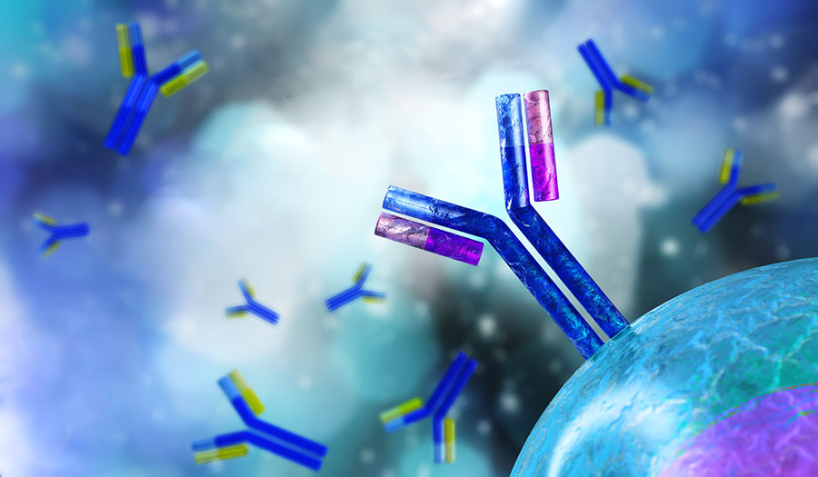 Optimizing Indirect Staining for Flow Cytometry Applications - KCAS Bio
