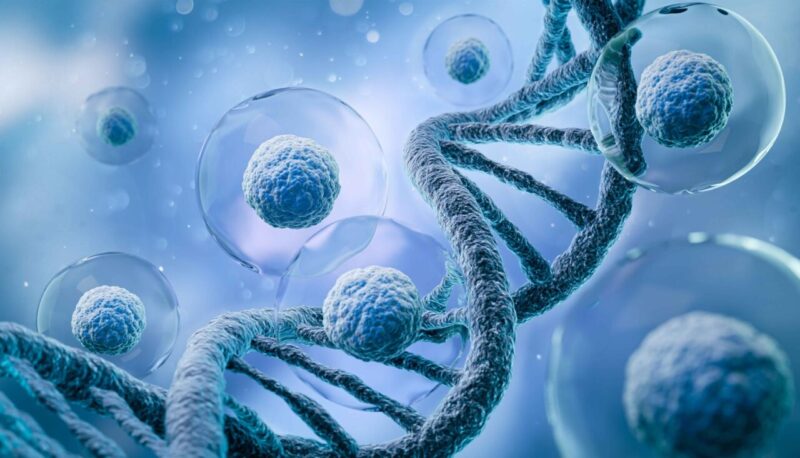 WEBINAR - A Masterclass in Advanced Analytical Assays for Bioanalysis ...