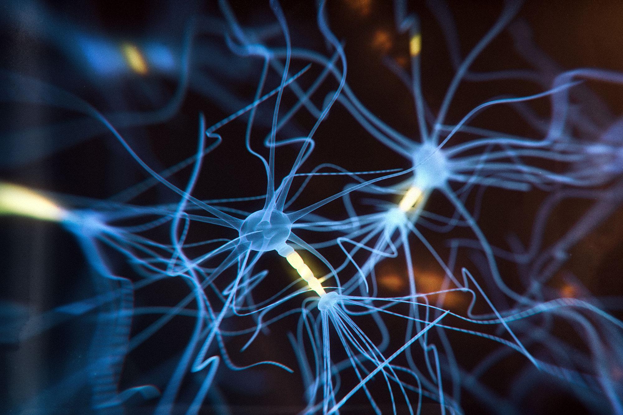 Neurological Services - KCAS Bio