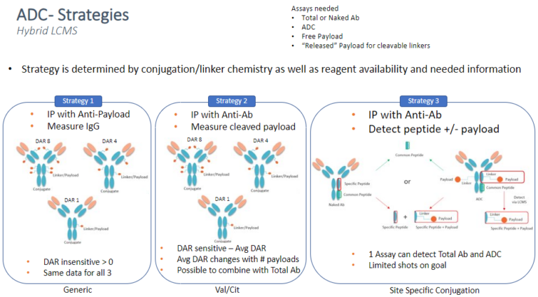 Hybrid LC-MS/MS Technology | KCAS Bio