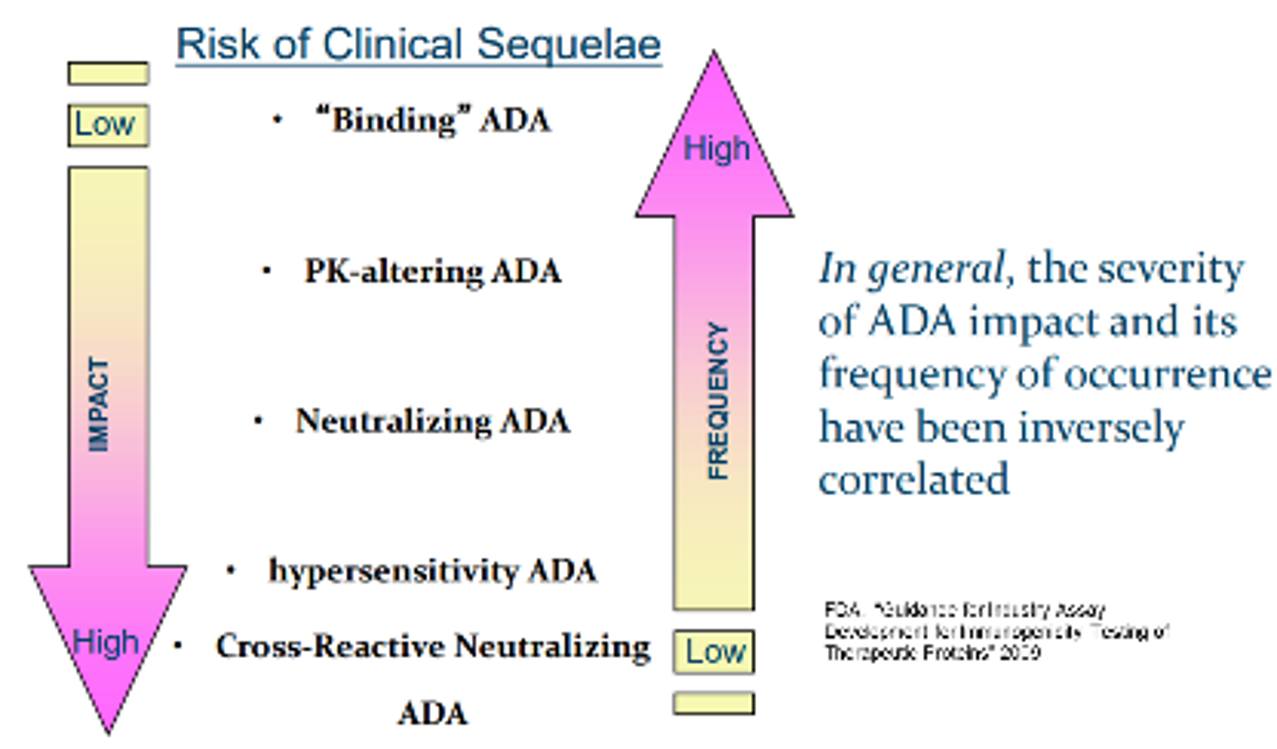 Immunogenicity Testing and Analytical Services | KCAS Bio