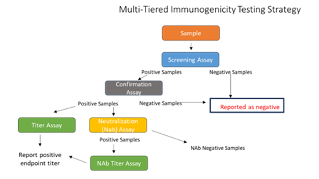 Immunogenicity Testing and Analytical Services | KCAS Bio
