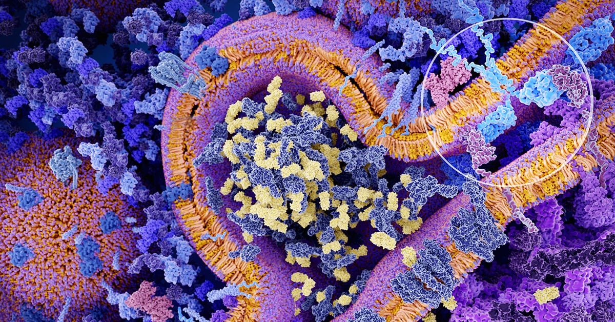 Flow Cytometry Colors: Staining Panel Complexity | KCAS Bio