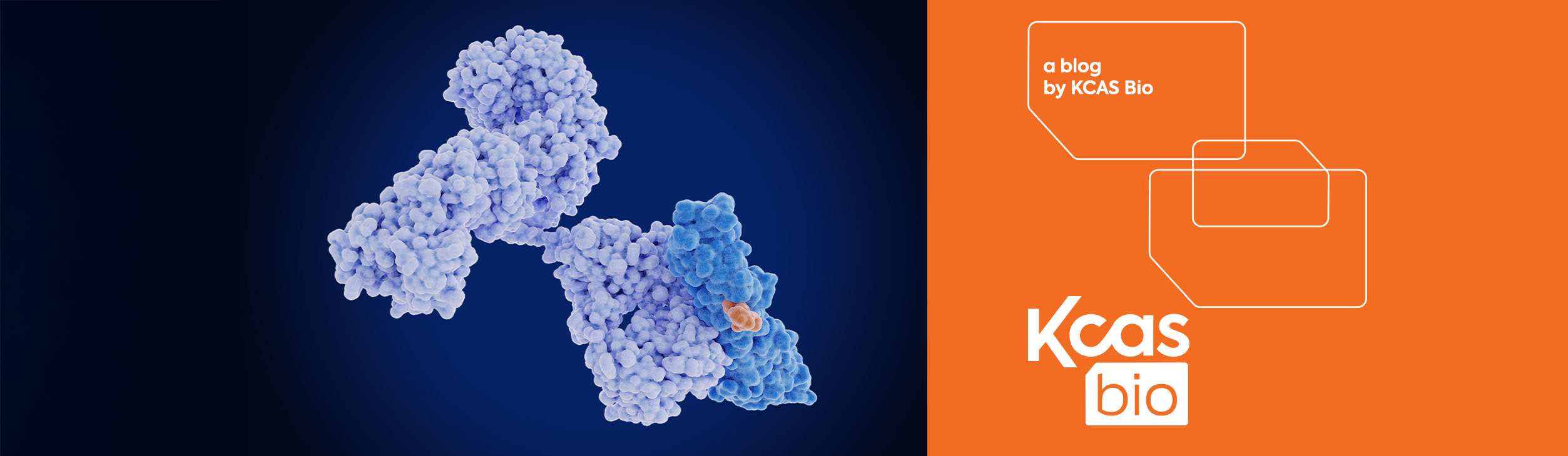 Neutralizing Antibody Assay Development - KCAS Bio