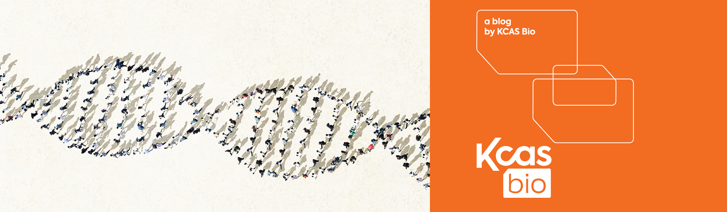 The Evolution of CROs: Past, Present, and Future | KCAS Bio