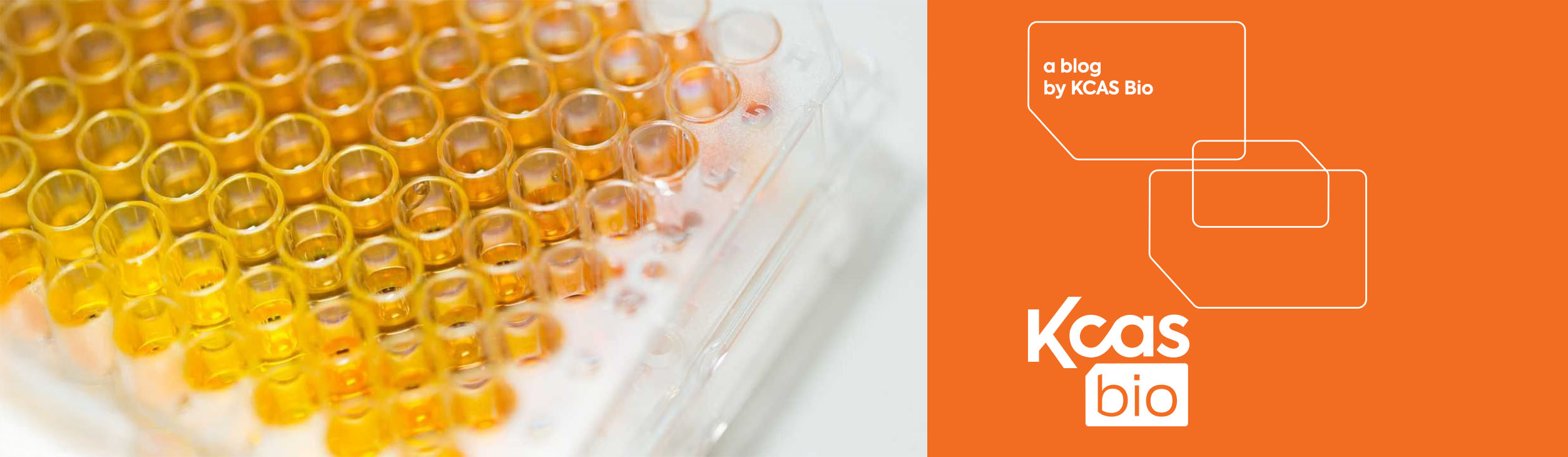 Advancing Drug Discovery: The Power of Flow Cytometry in Compound ...