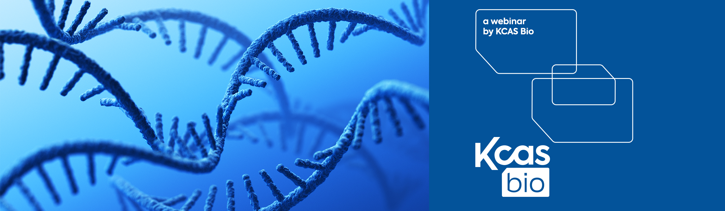 WEBINAR - A Masterclass in Advanced Analytical Assays for Bioanalysis ...