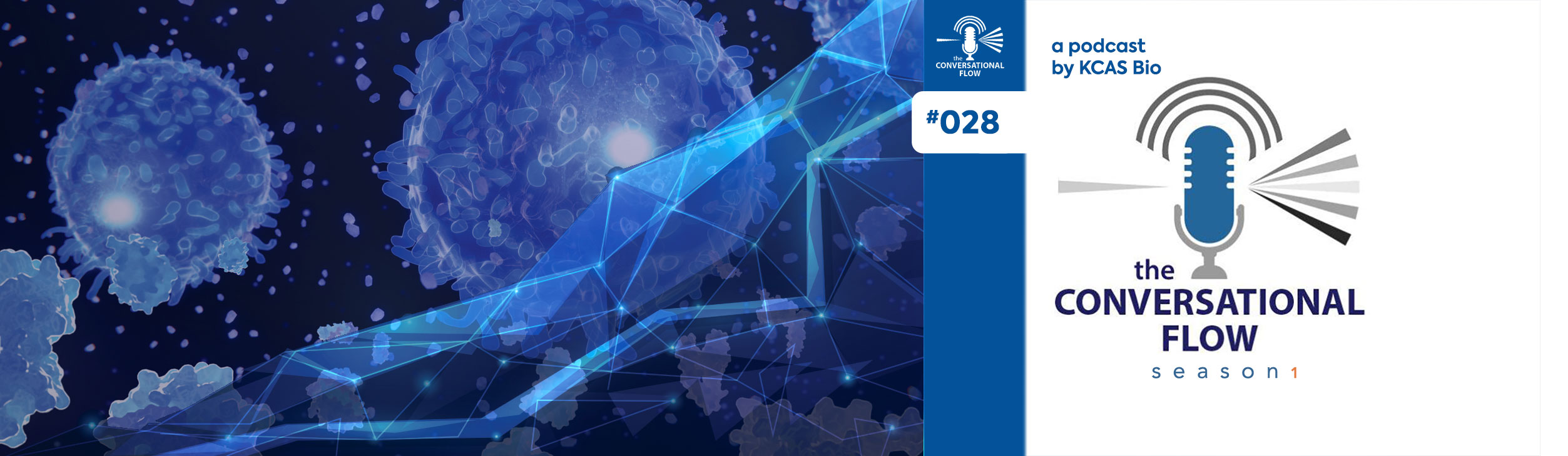 Podcast (The Conversational Flow) Eps #28: ”Why Standardization Is ...